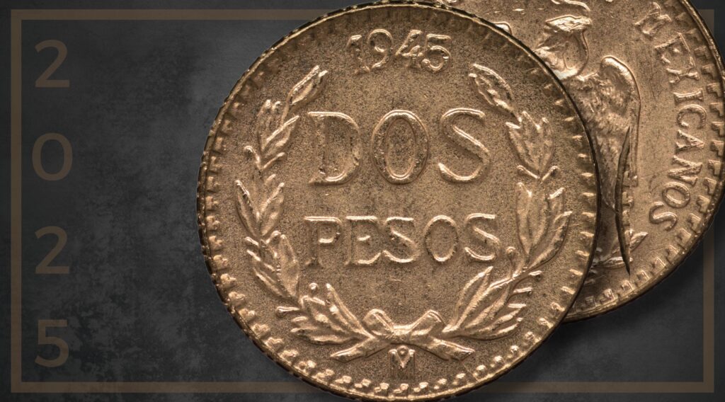 How Strong Will The Mexican Peso (MXN) Be In 2025? | Disruption Banking